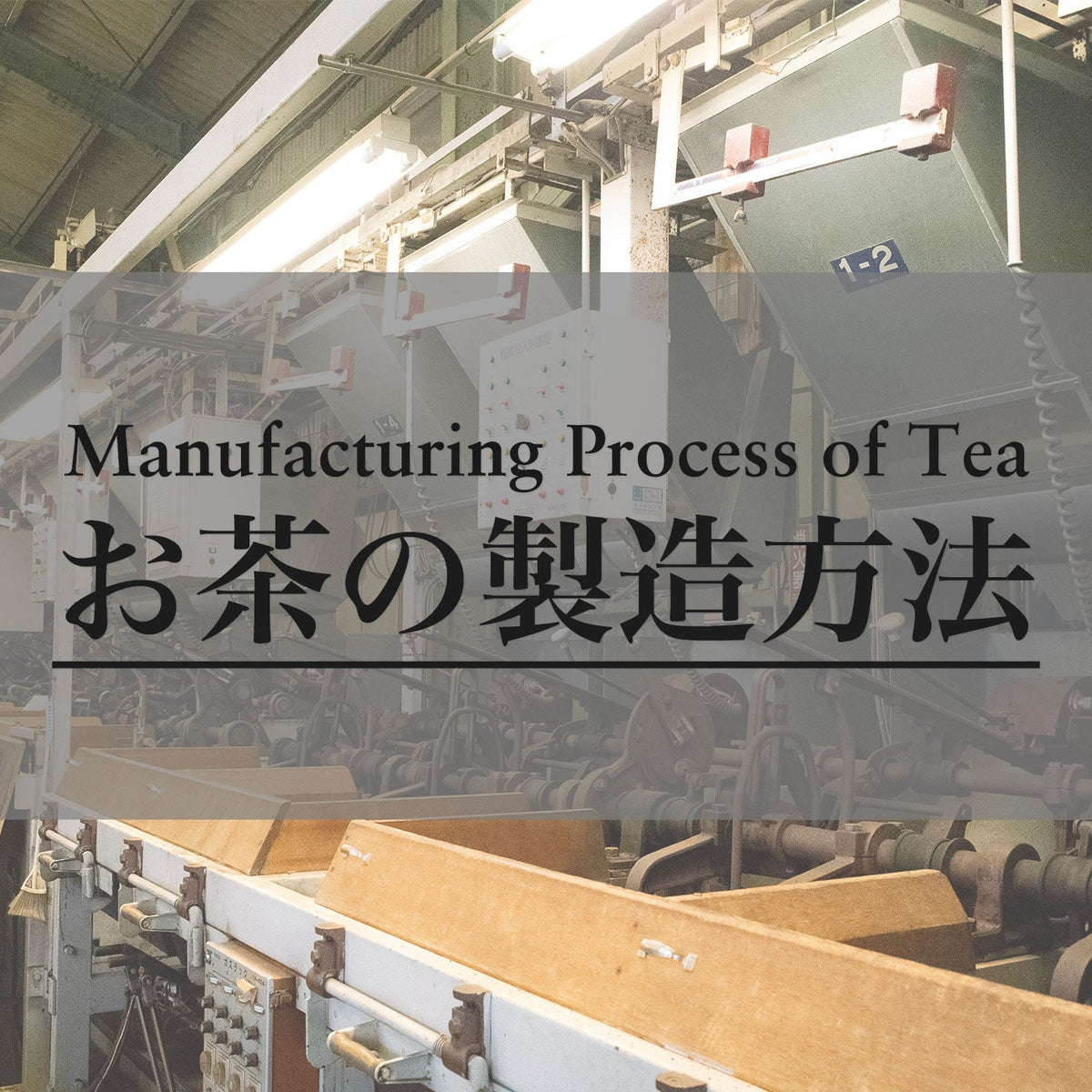 How Tea is Made: Full Guide to Tea Manufacturing from Fresh Leaves to ...