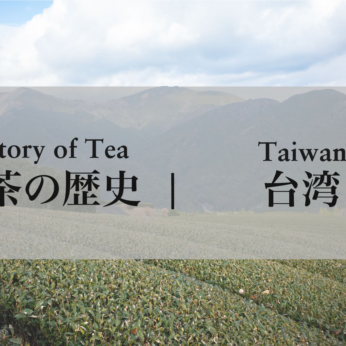 世界のお茶の歴史｜台湾 – FAR EAST TEA COMPANY
